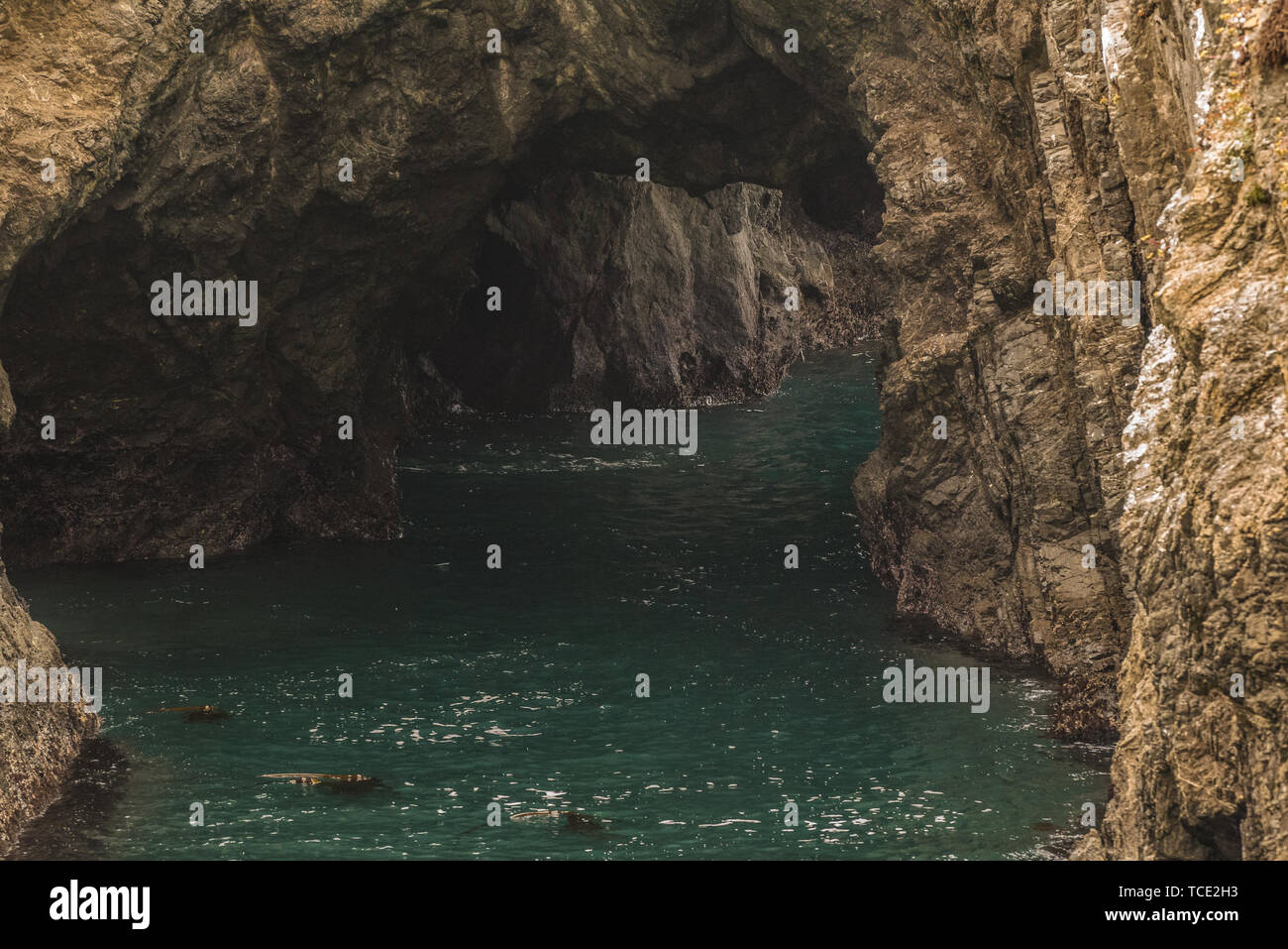 Deep sea cave in california Stock Photo - Alamy
