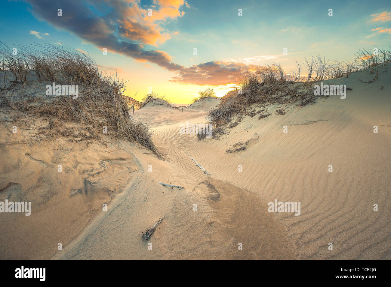 Lithuania day dead hi-res stock photography and images - Alamy