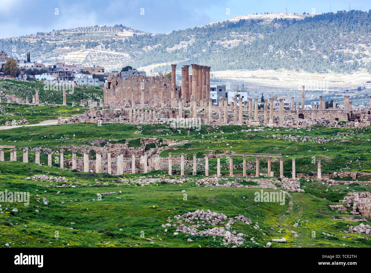 Temple of Artemis, Jerash, Jordan Stock Photo - Alamy