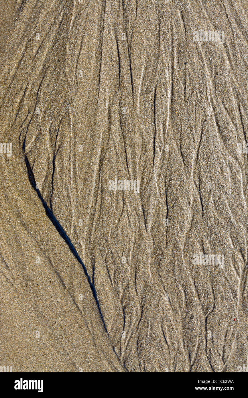 Receding water from low tide causes water lines and patterns in the ...