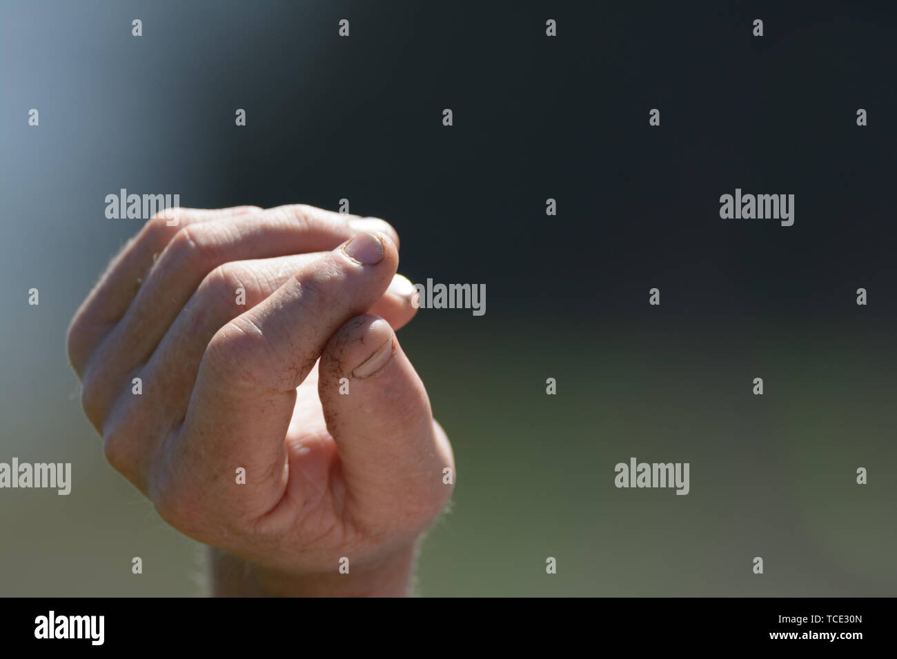 A rugged senior male hand that is making a slight soft fist. Dirt and ...