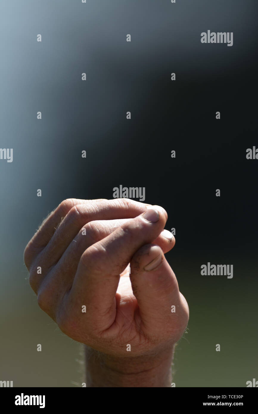 A rugged senior male hand that is making a slight soft fist. Dirt and ...