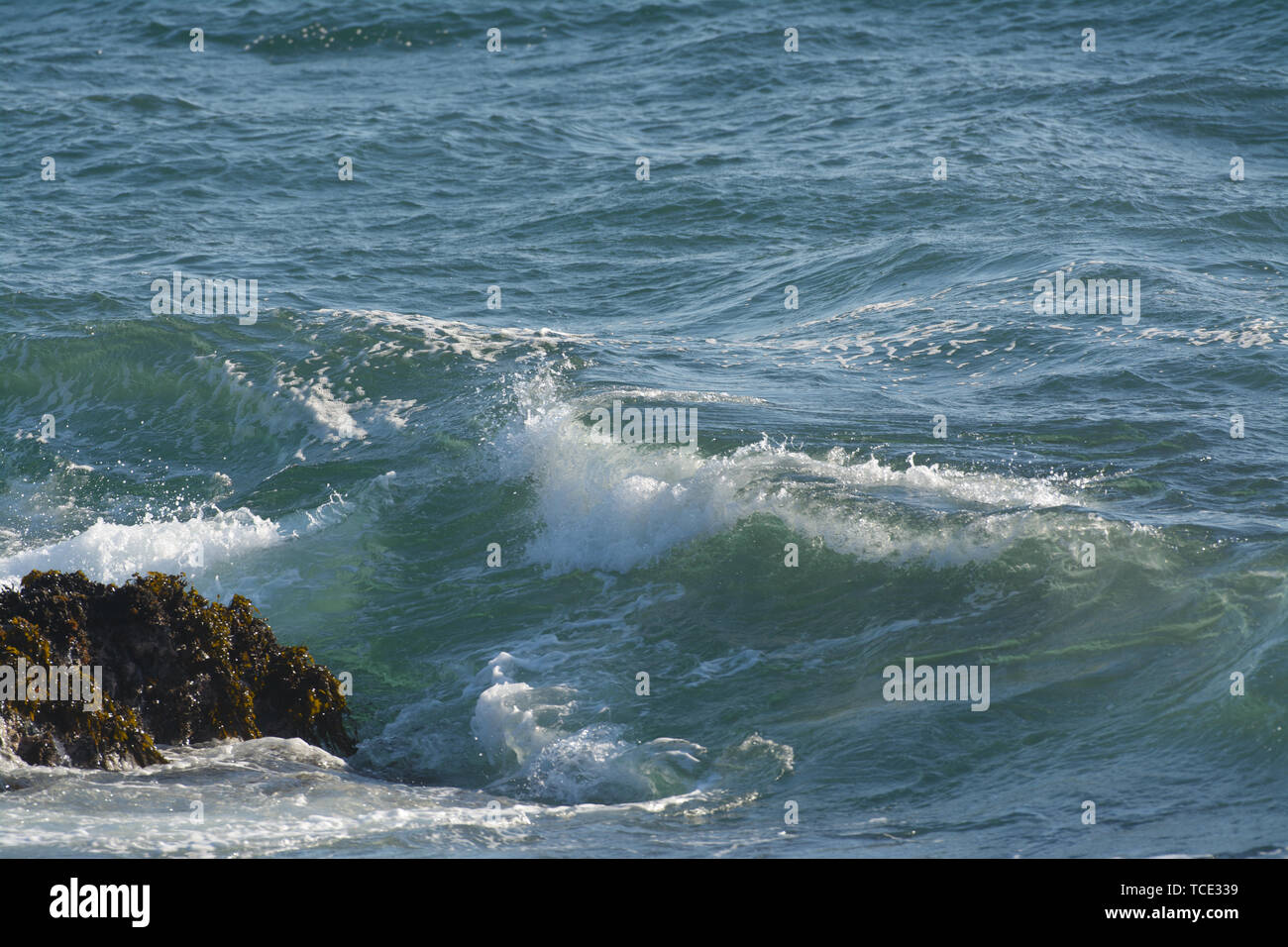 View of clear transparent water swelling and forming wave running on ...