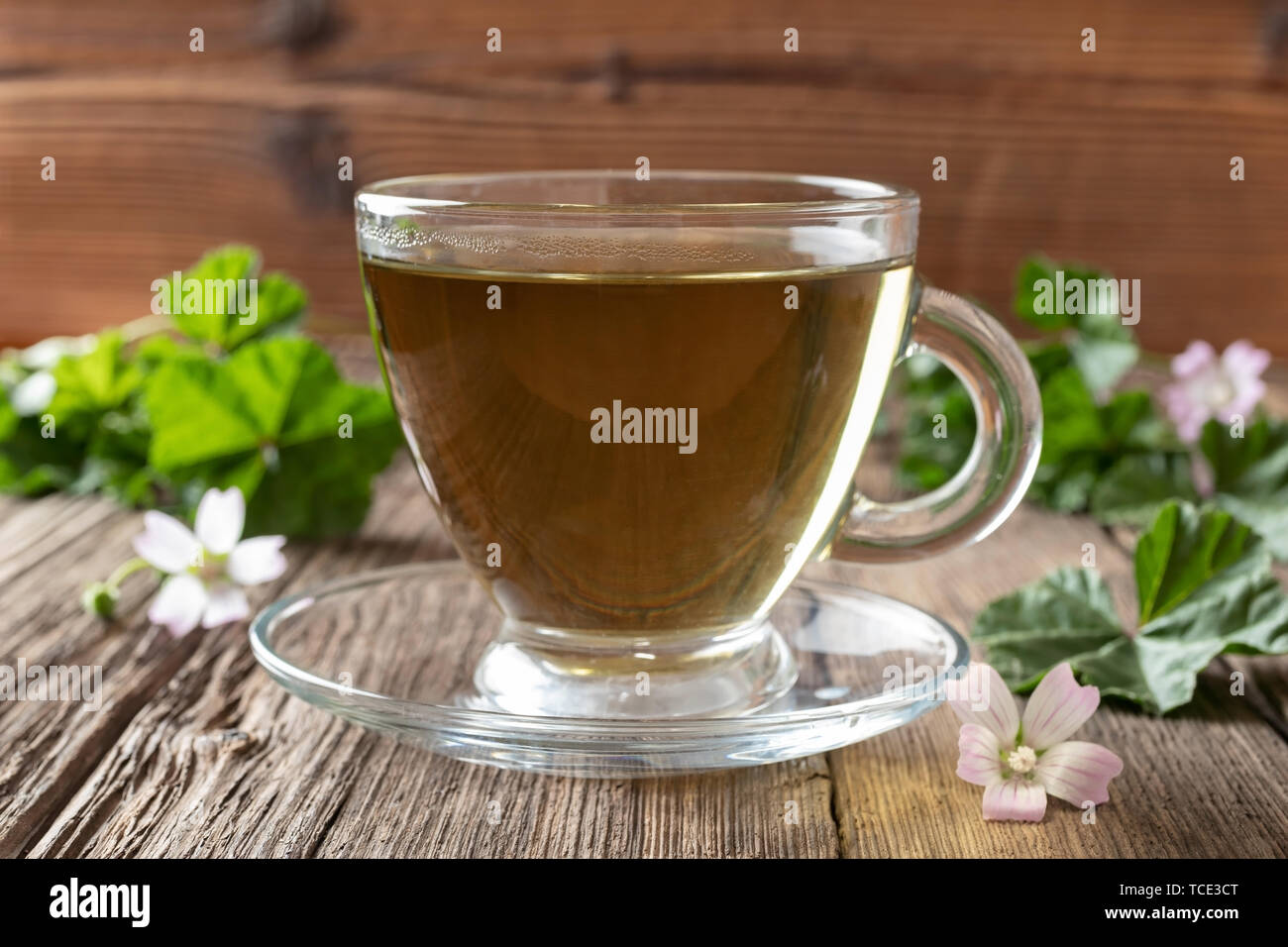 A cup of herbal tea with fresh blooming dwarf mallow plant Stock Photo ...