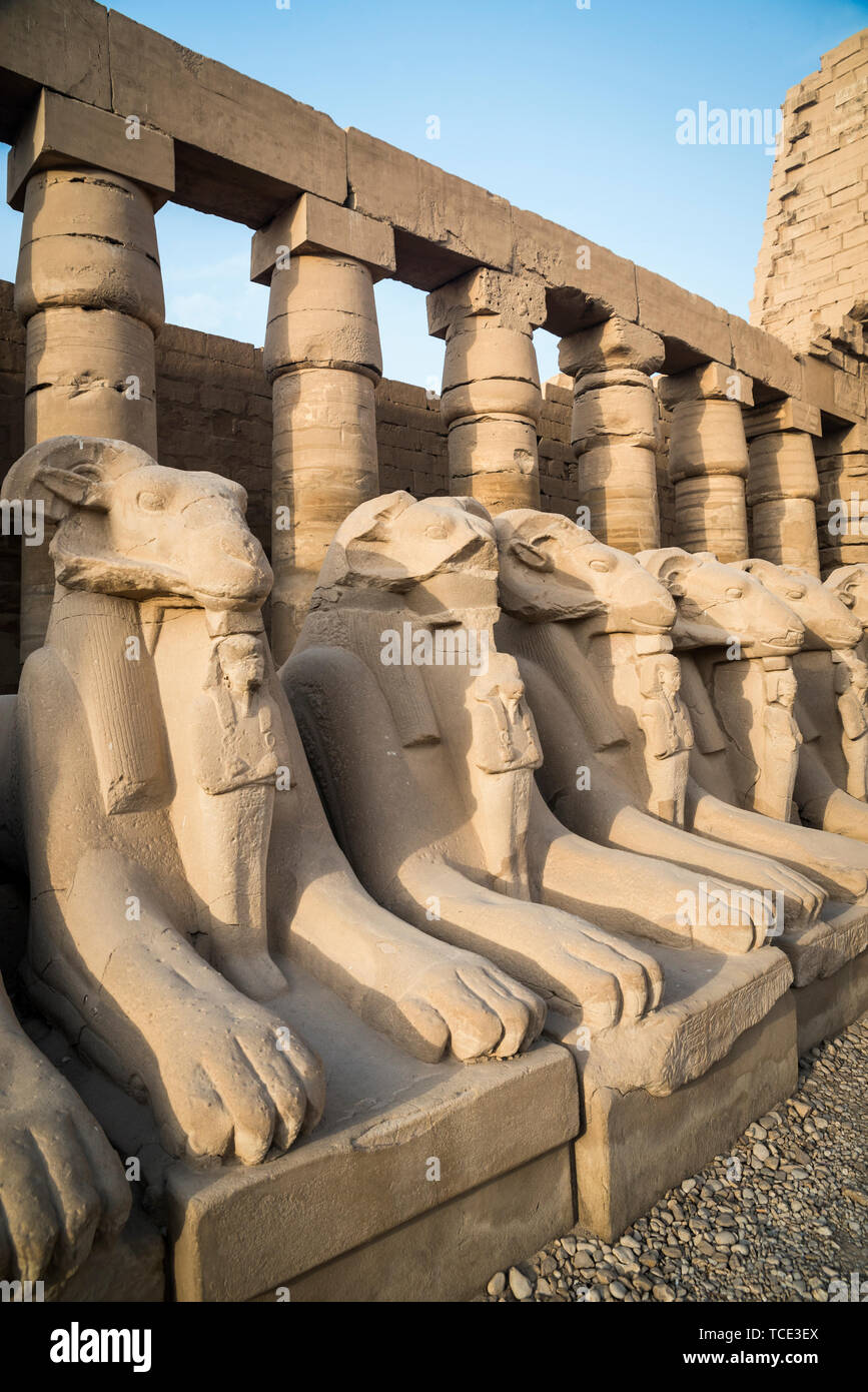 Statues at Karnak Temple, Karnak, Luxor, Egypt Stock Photo - Alamy