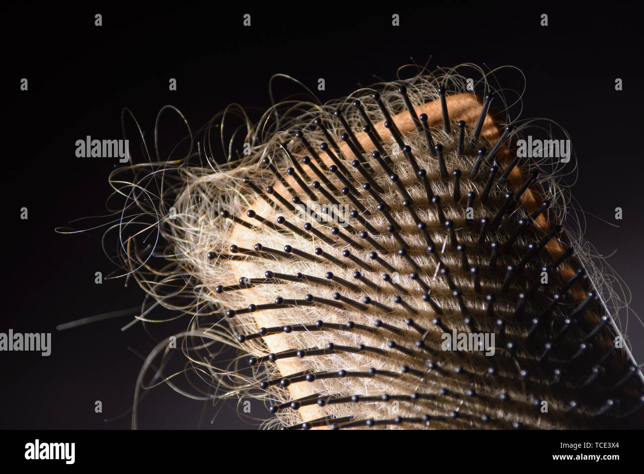 Blond long hair tangled in a wood hair brush Stock Photo - Alamy