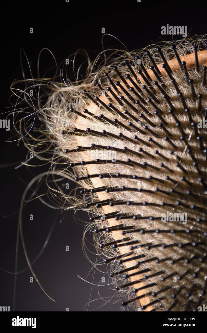 Blond long hair tangled in a wood hair brush Stock Photo - Alamy