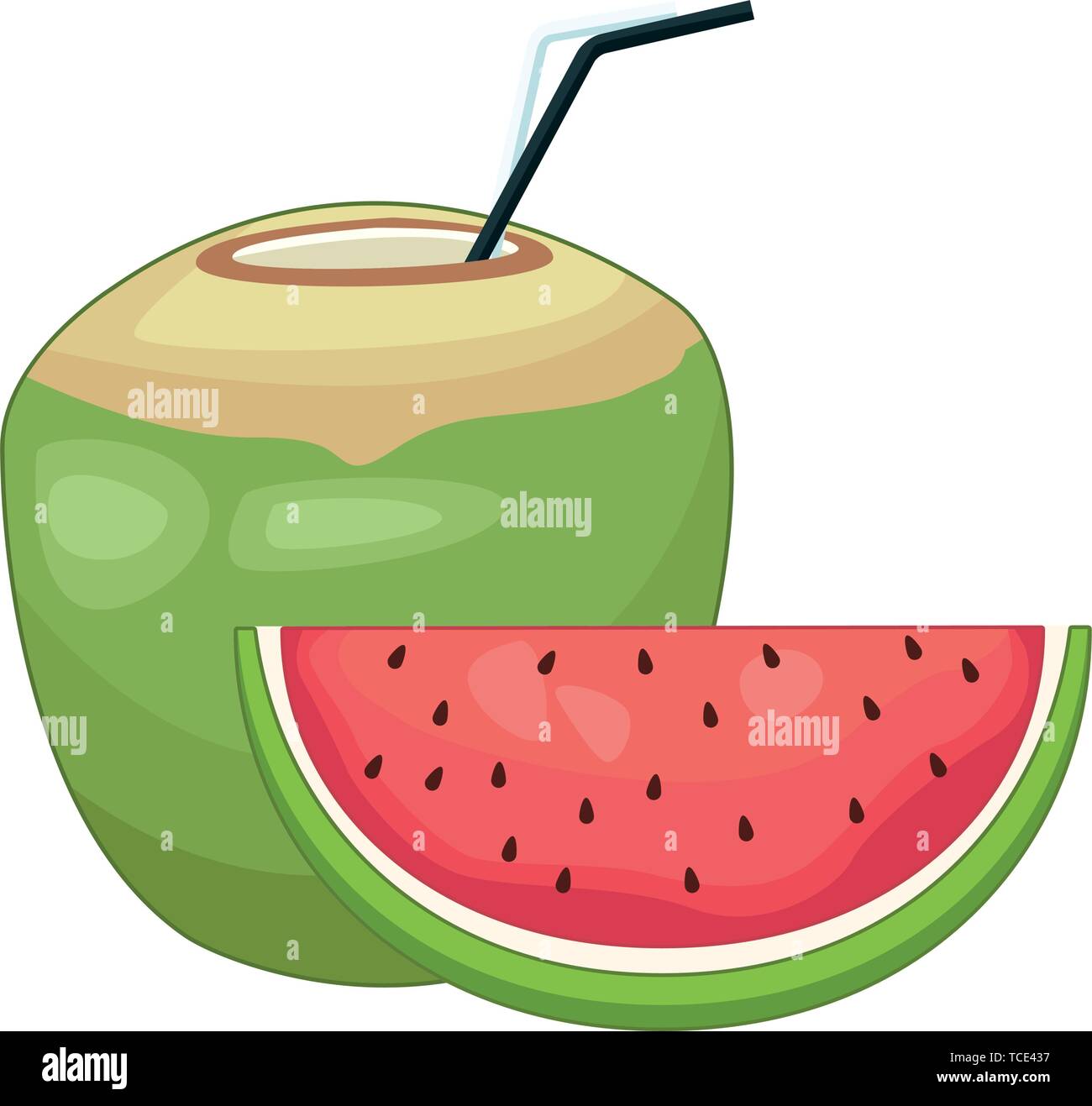 Coconut cocktail and watermelon sliced fruit Stock Vector Image & Art ...
