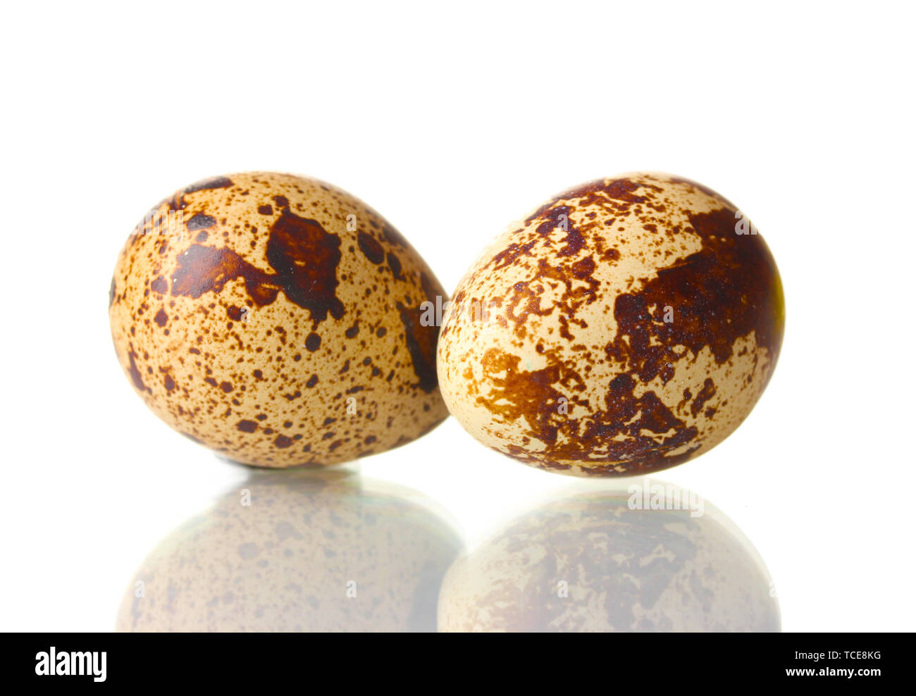 two quail eggs isilated on white Stock Photo - Alamy