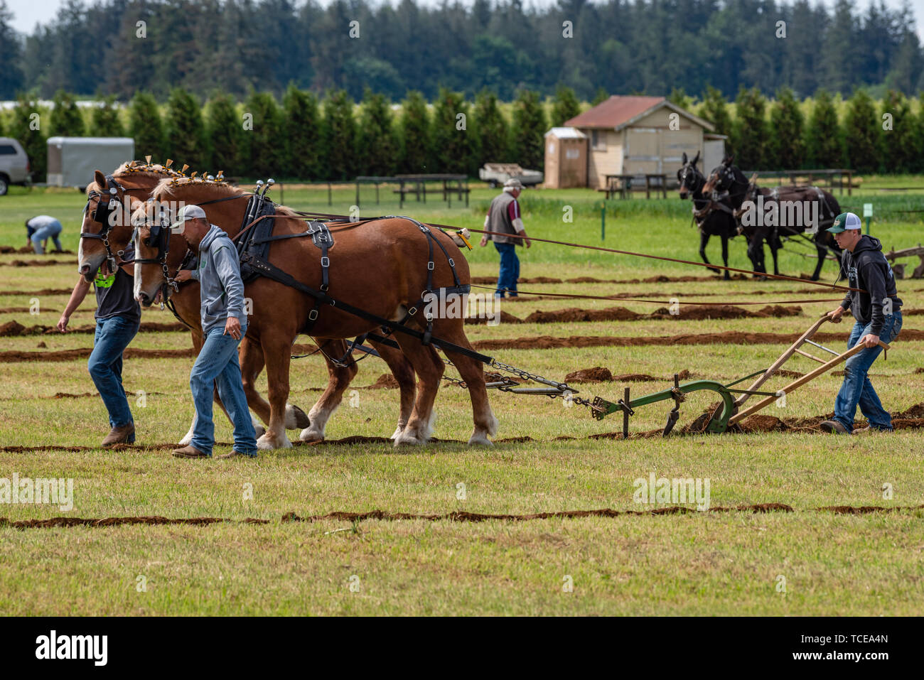 Historic farm plow agriculture hi-res stock photography and images - Alamy