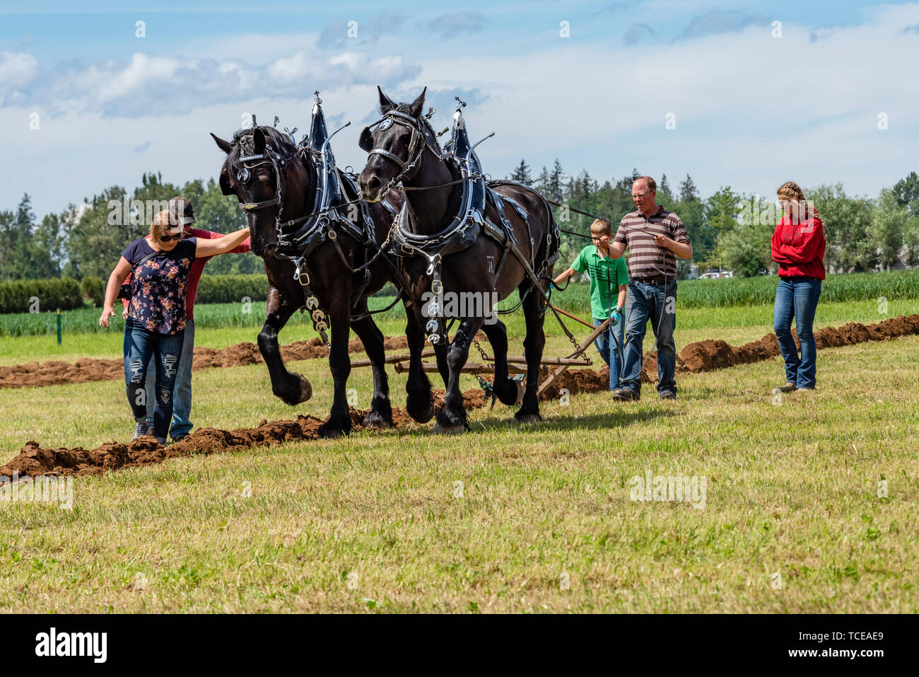 Team competing in the plowing match. 2019 International Plowing Match ...