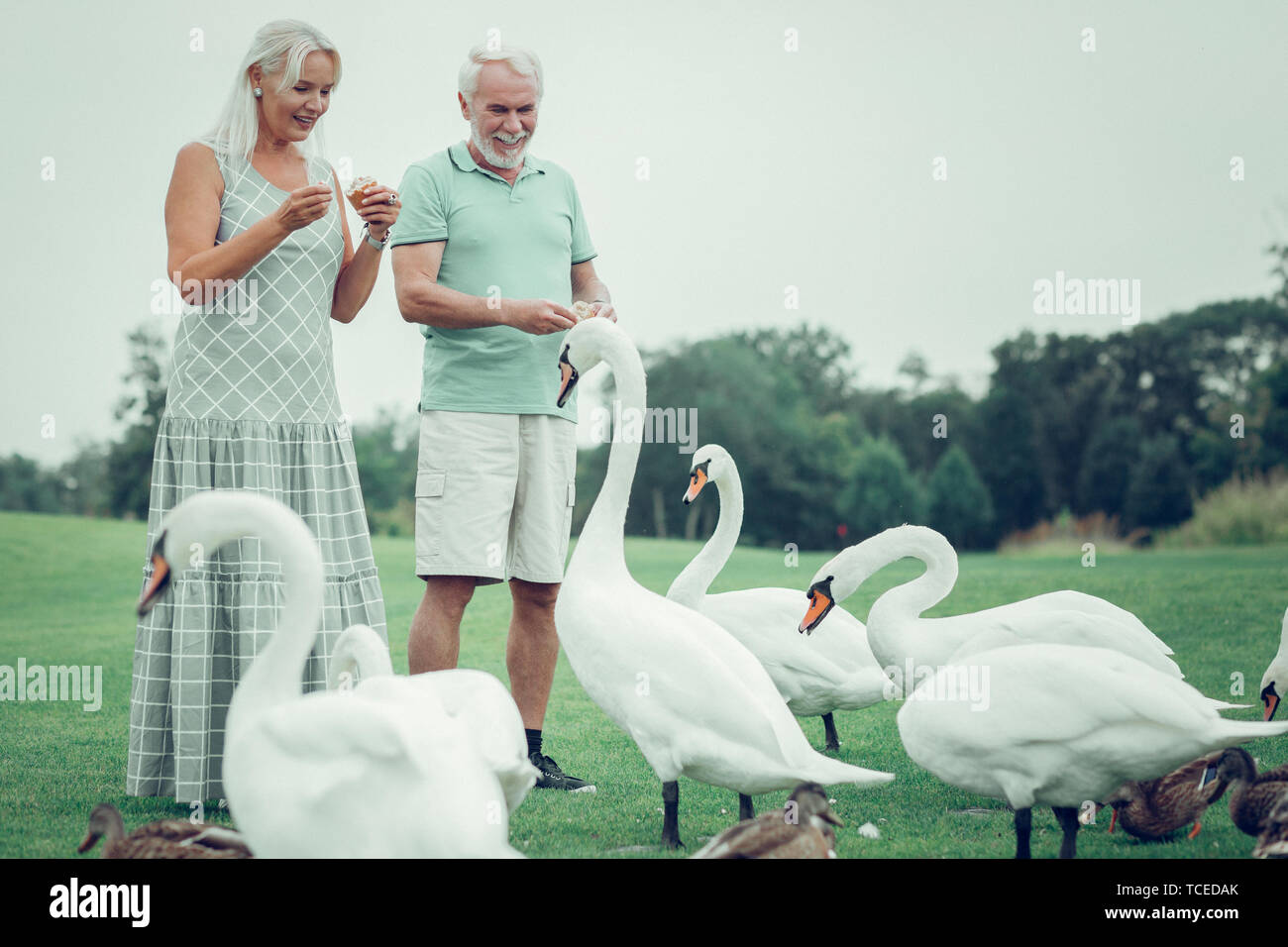 Gracious birds hi-res stock photography and images - Alamy