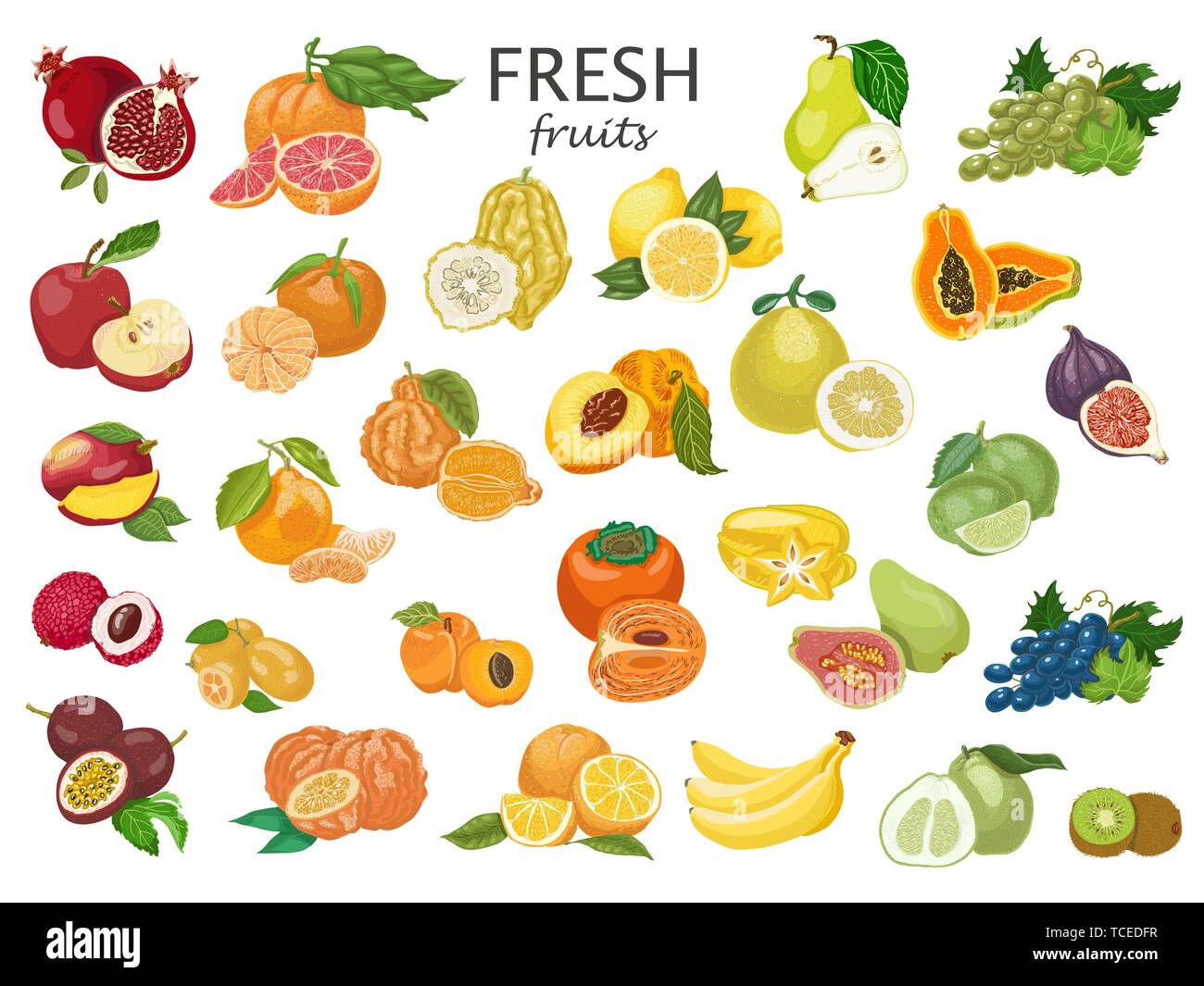 Big set of colored fruits. Set of fresh fruits for your design Stock ...