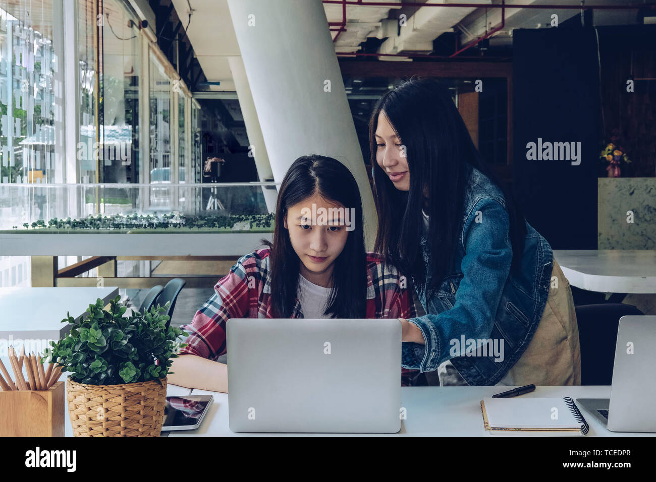 girl teenager college high school student studying with computer laptop ...