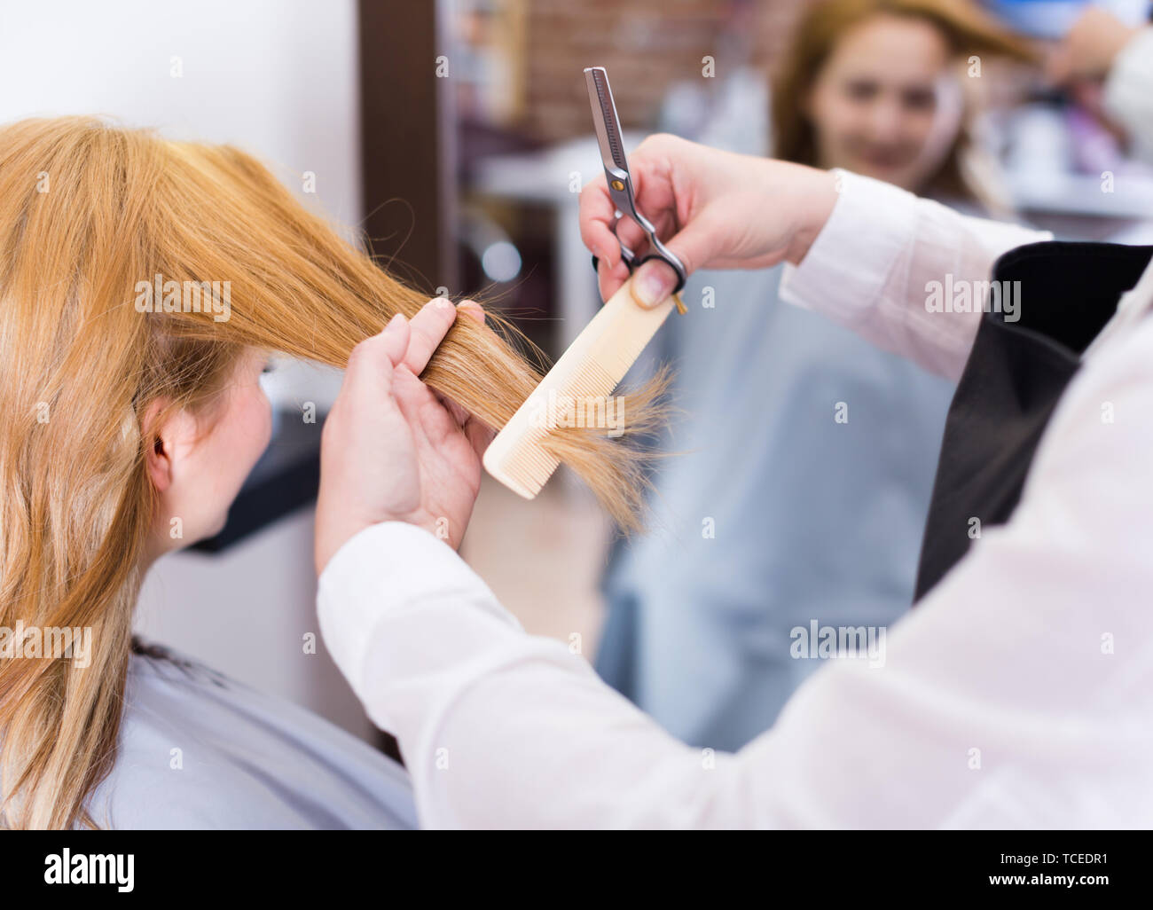 Hairdressing cutting and leveling hair to young blonde woman by means ...