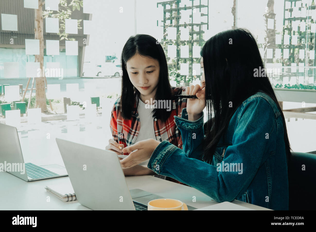 girl teenager studying with computer laptop. college high school ...