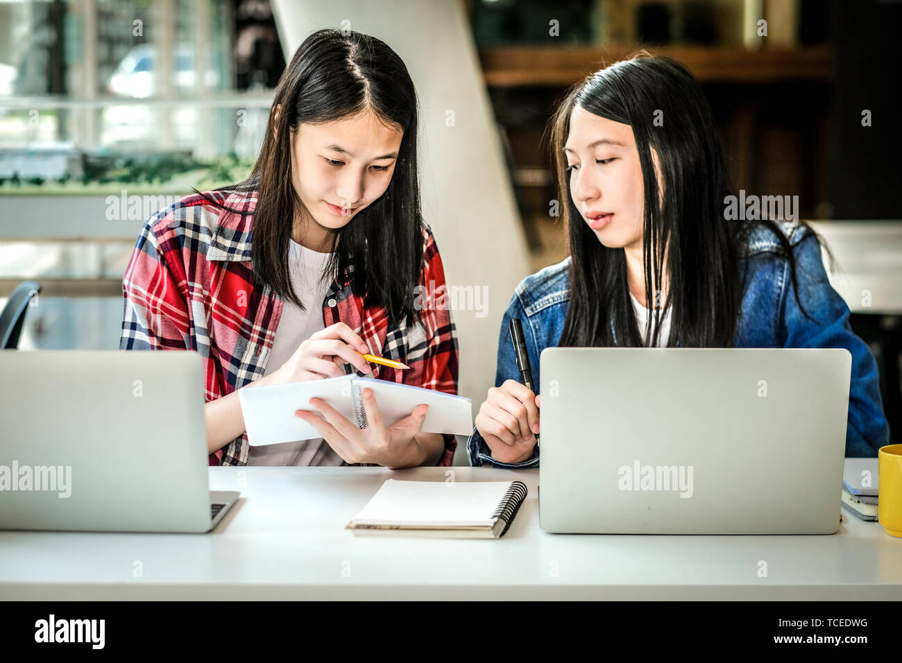 girl teenager studying with computer laptop. college high school ...
