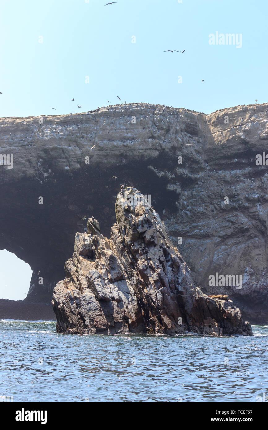 islas balestas with many endagered birds at paracas, peru Stock Photo ...
