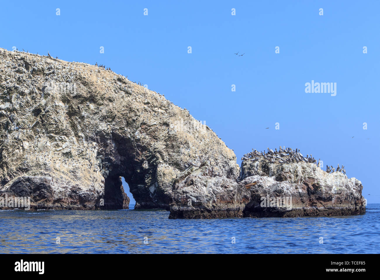 islas balestas with many endagered birds at paracas, peru Stock Photo ...