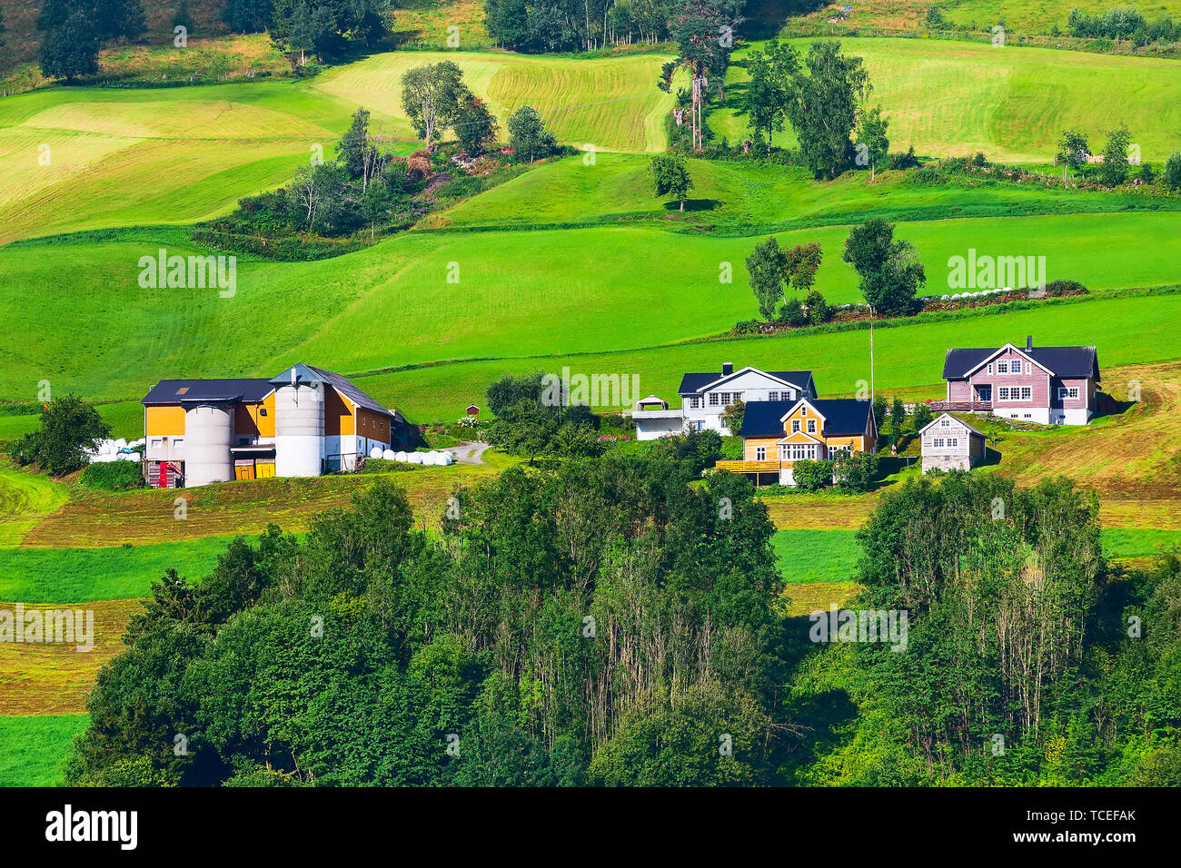 Norwegian fjord village landscape with mountains and colorful houses in ...