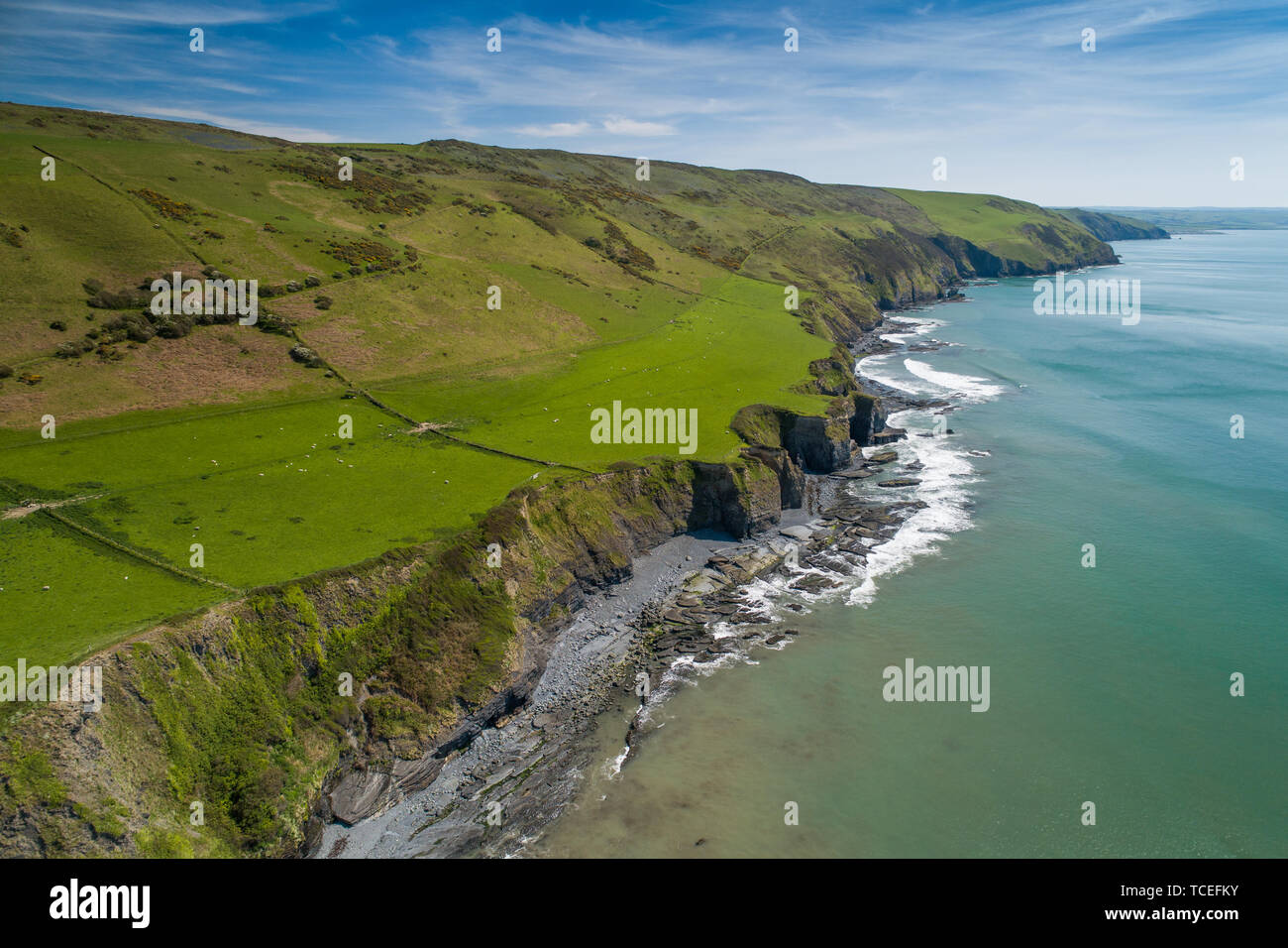 The dramatic sea cliffs on the Ceredigion coast, just south of ...