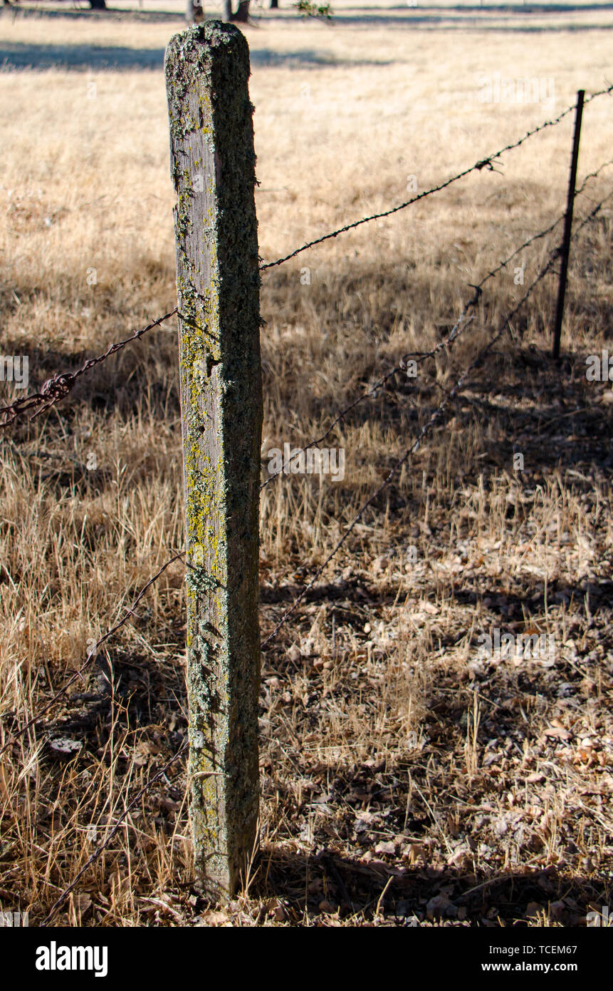 Old wooden fencepost hi-res stock photography and images - Alamy