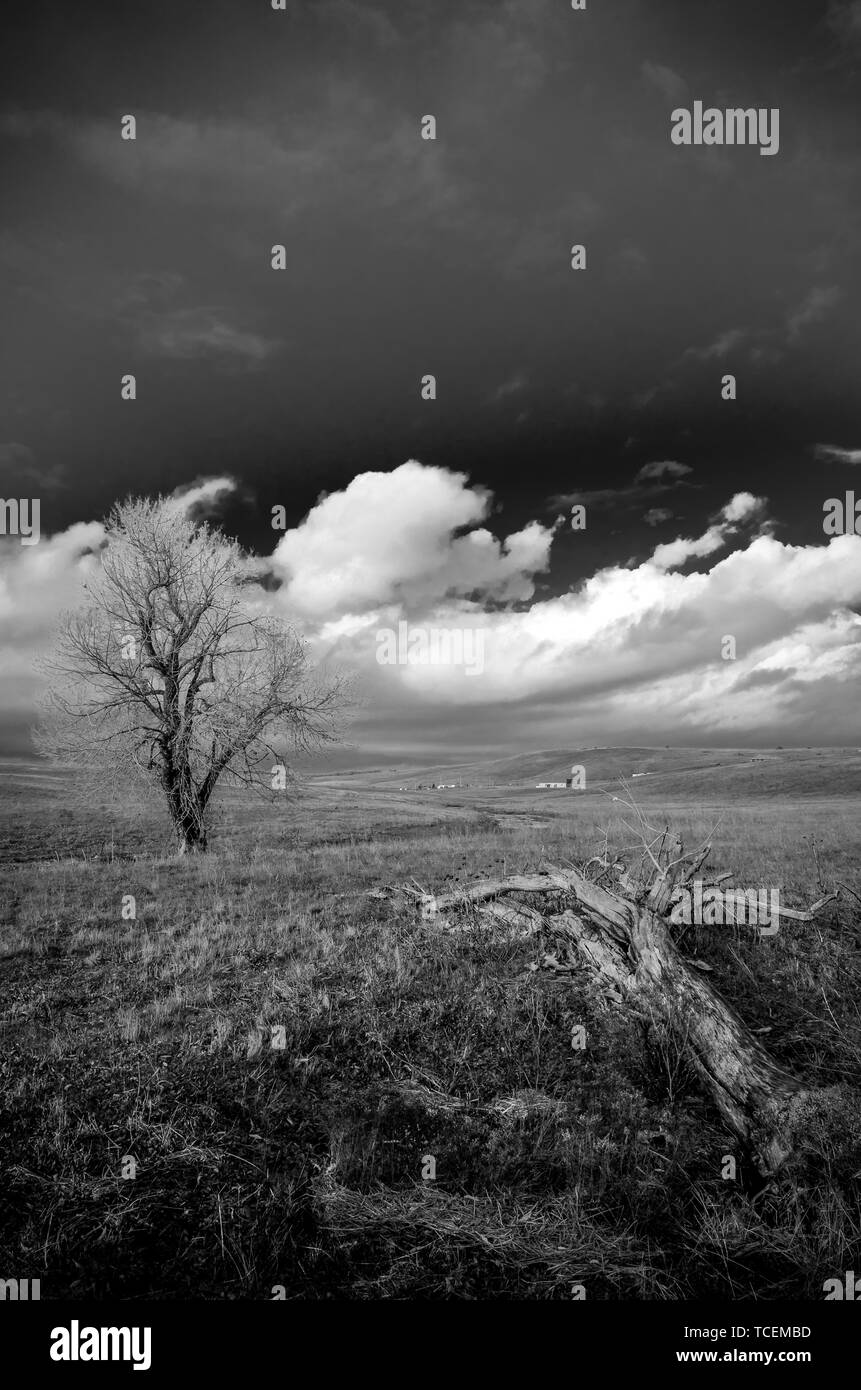 Growing hills Black and White Stock Photos & Images - Alamy