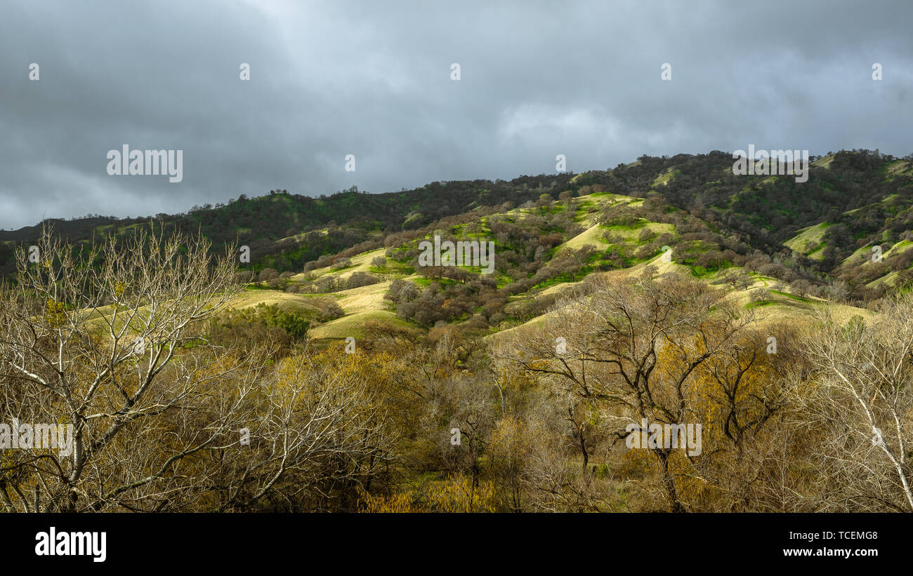 Foot hill hi-res stock photography and images - Alamy