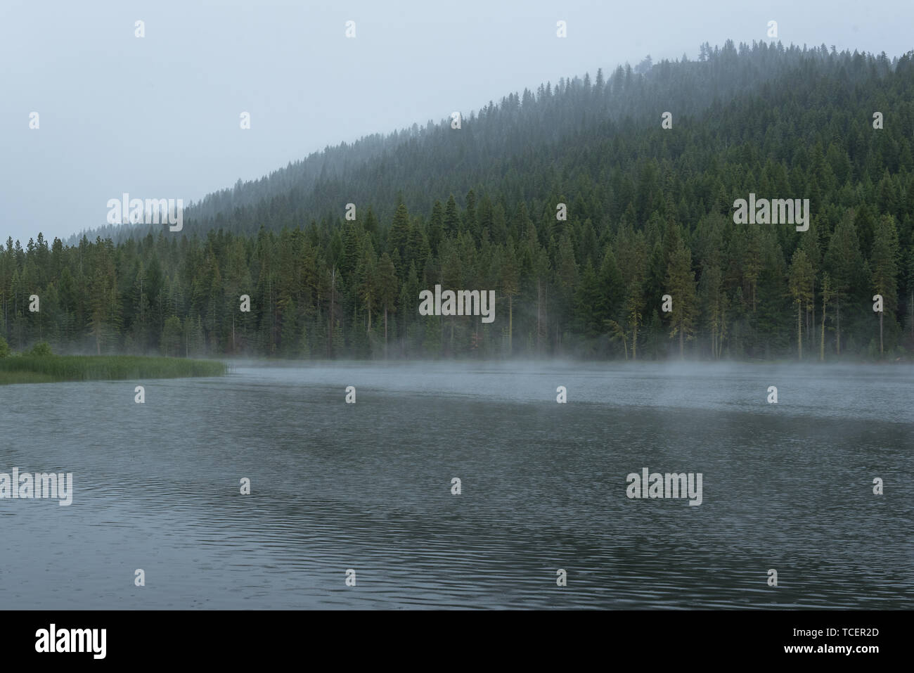 mist over lake Stock Photo - Alamy