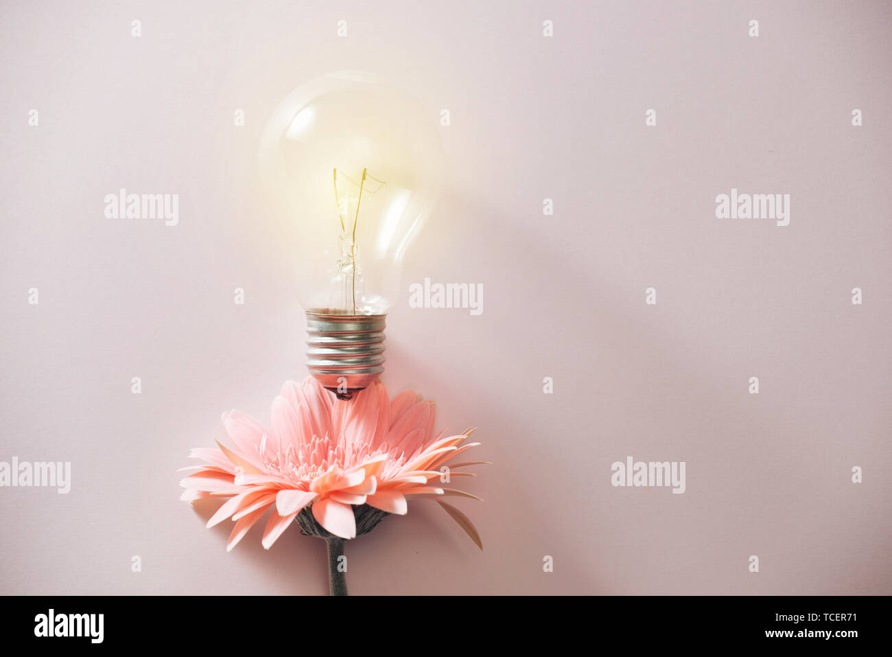 light bulb with beautiful flower around on pink background Stock Photo ...