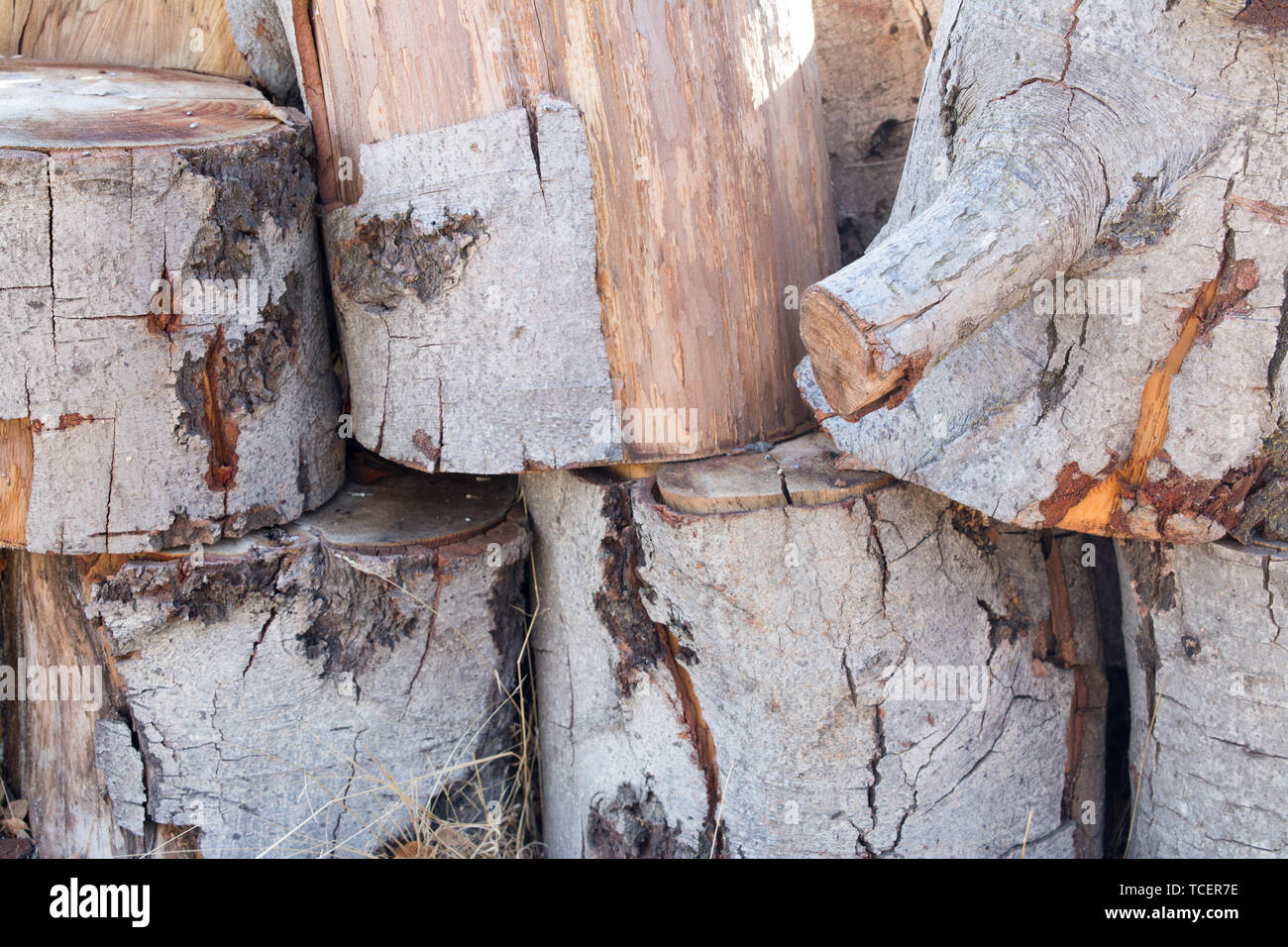 Background of composed and stacked cut wooden stubs with gray bark in ...