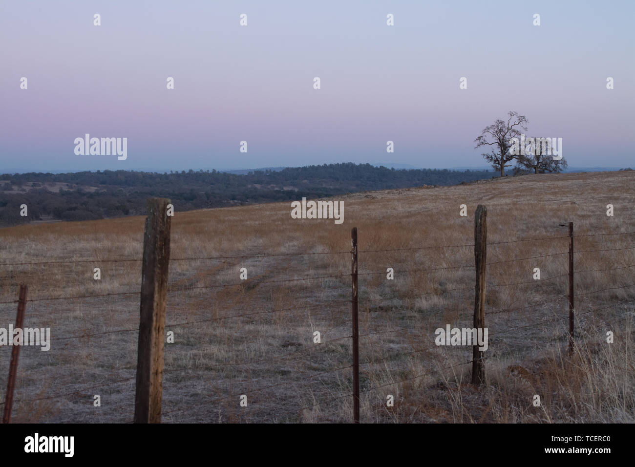 Tranquil landscape of dry cold field landscape with aged wire fence and ...