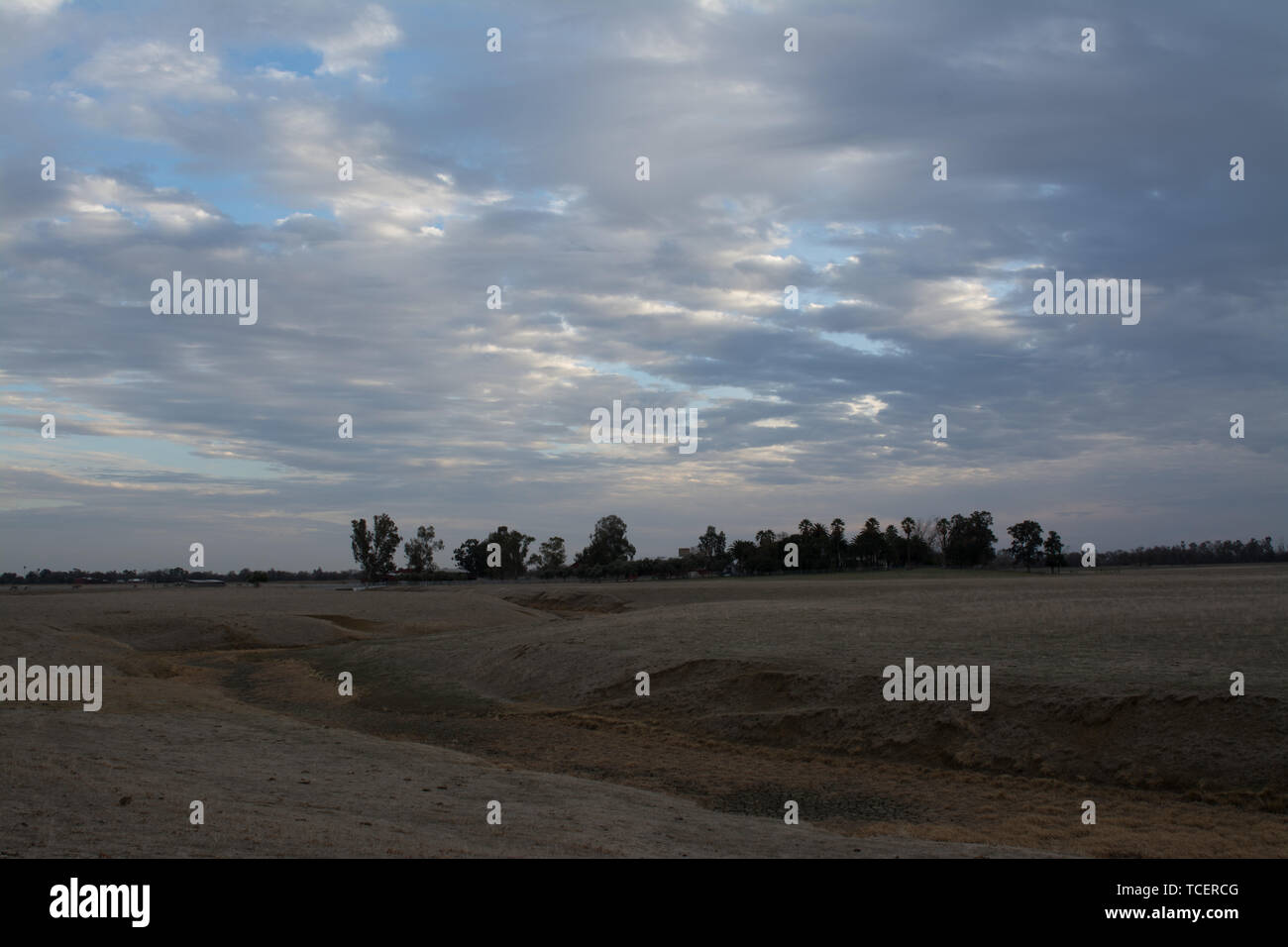 Landscape of spacious big dark terrain land with trees on horizon under ...
