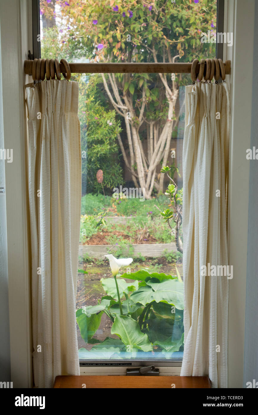 tree garden outside window Stock Photo - Alamy