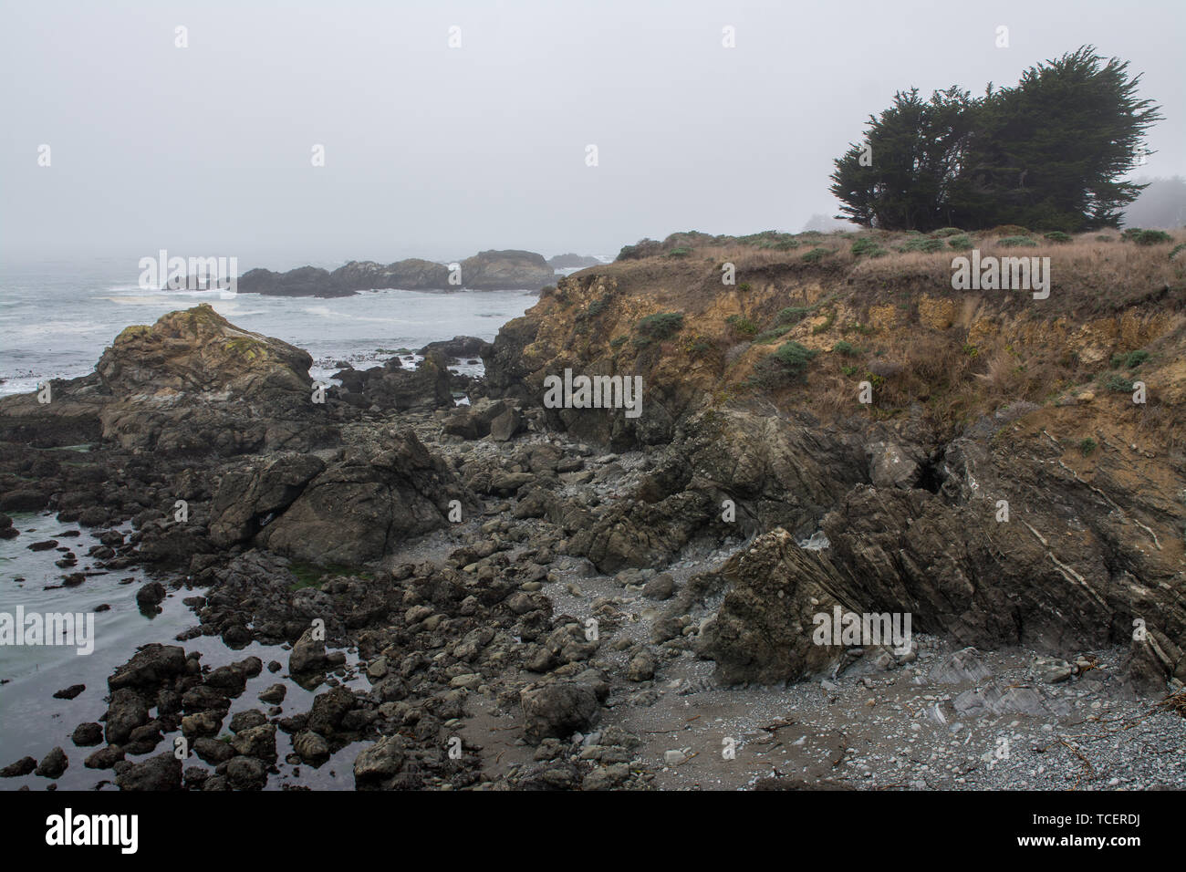 Landscape of shoreline with dry rocks and cliff on background of misty ...