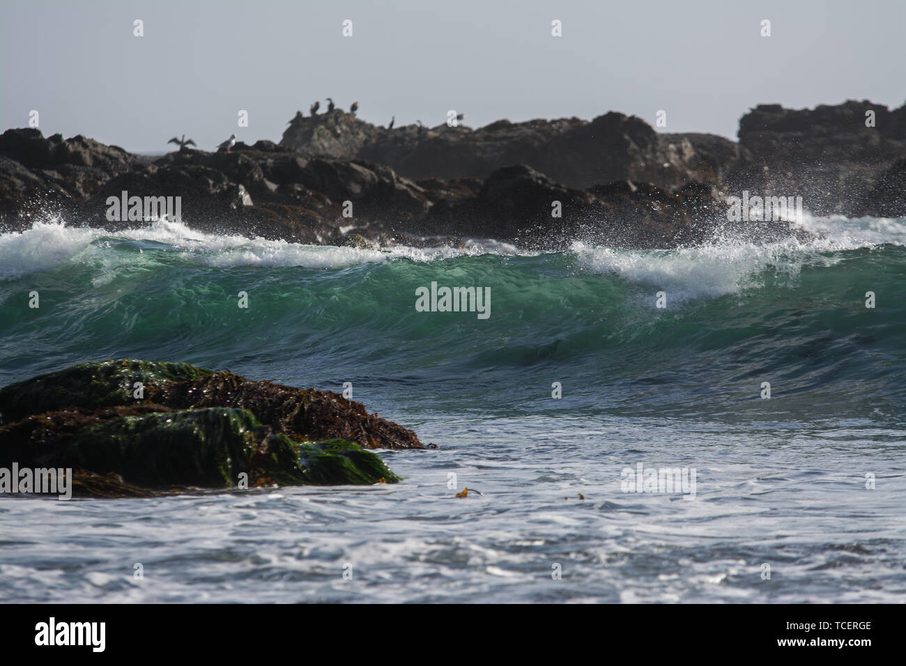 View of big wave with splashes rising above rocks and stone in ocean ...
