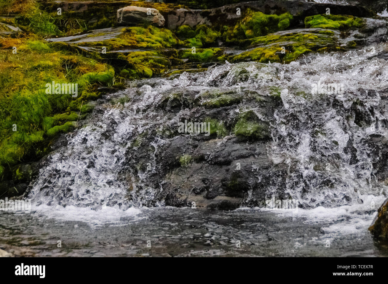 Cold water mountain stream Stock Photo - Alamy
