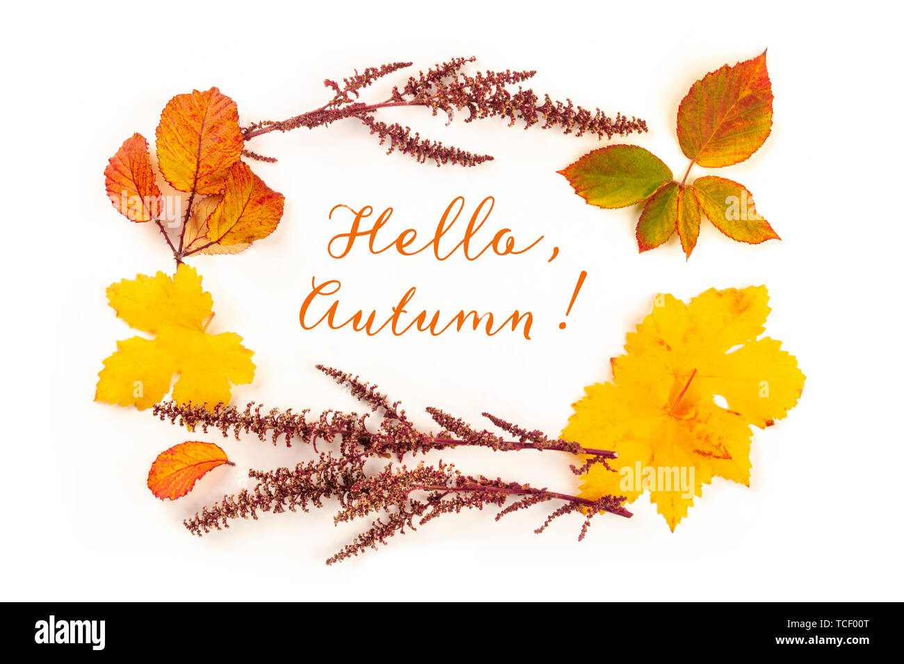 Hello, Autumn greeting card or invitation design with vibrant fall ...