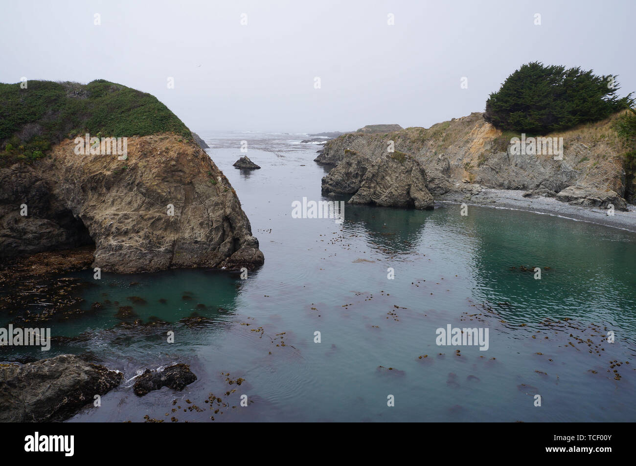 coast cliff fog Stock Photo - Alamy