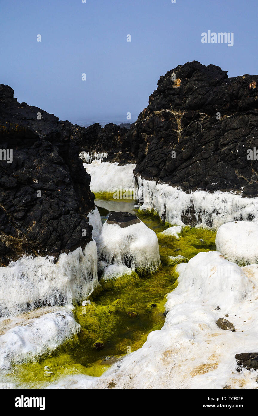 Black algae pool hi-res stock photography and images - Alamy