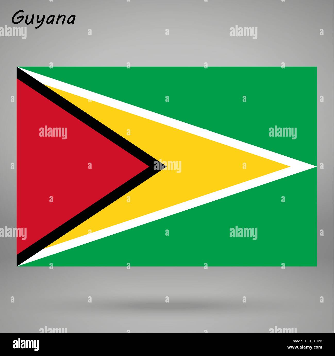 simple flag of Guyana isolated on white background Stock Vector Image & Art - Alamy