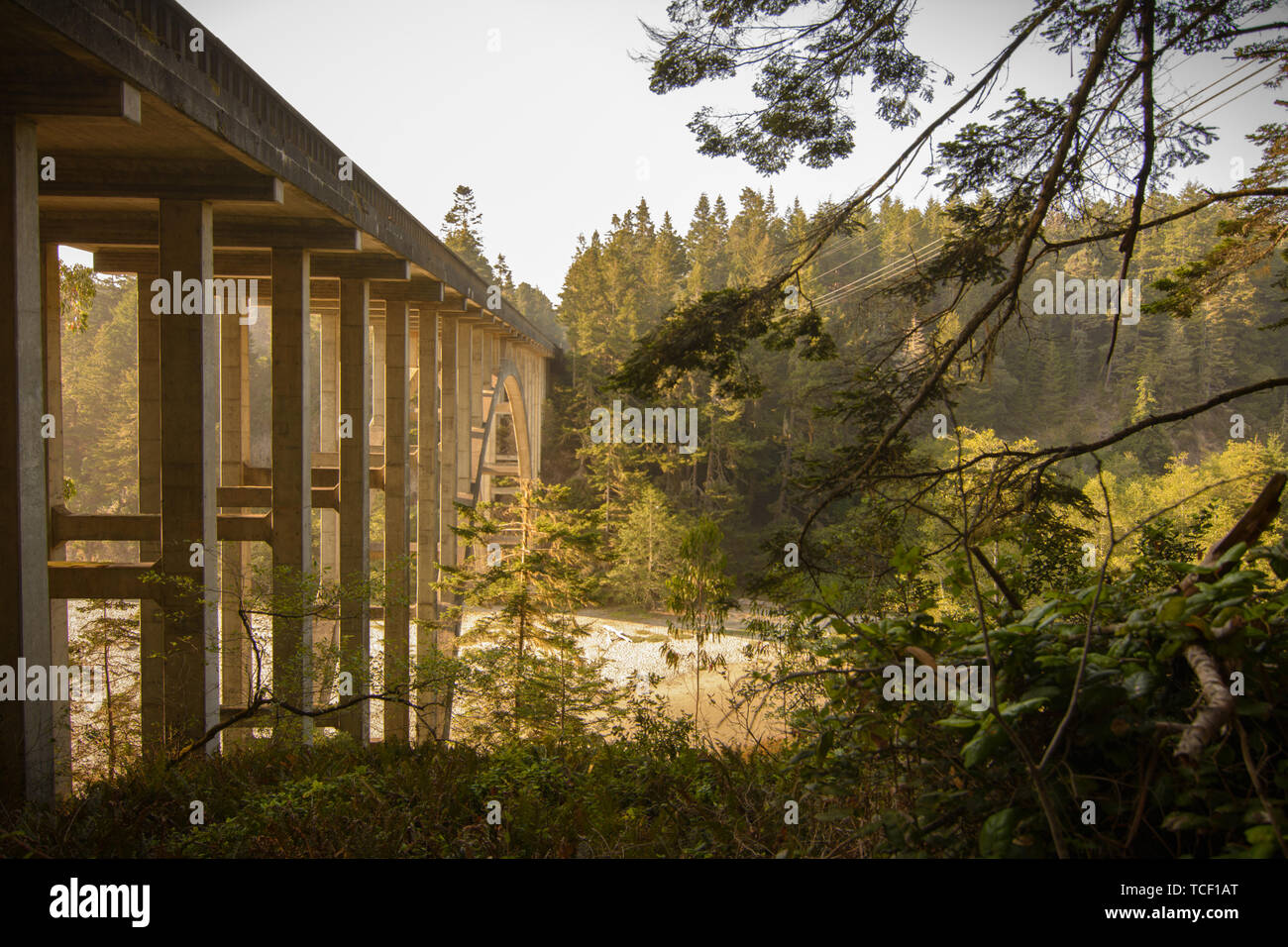 Bridge through forest hi-res stock photography and images - Alamy