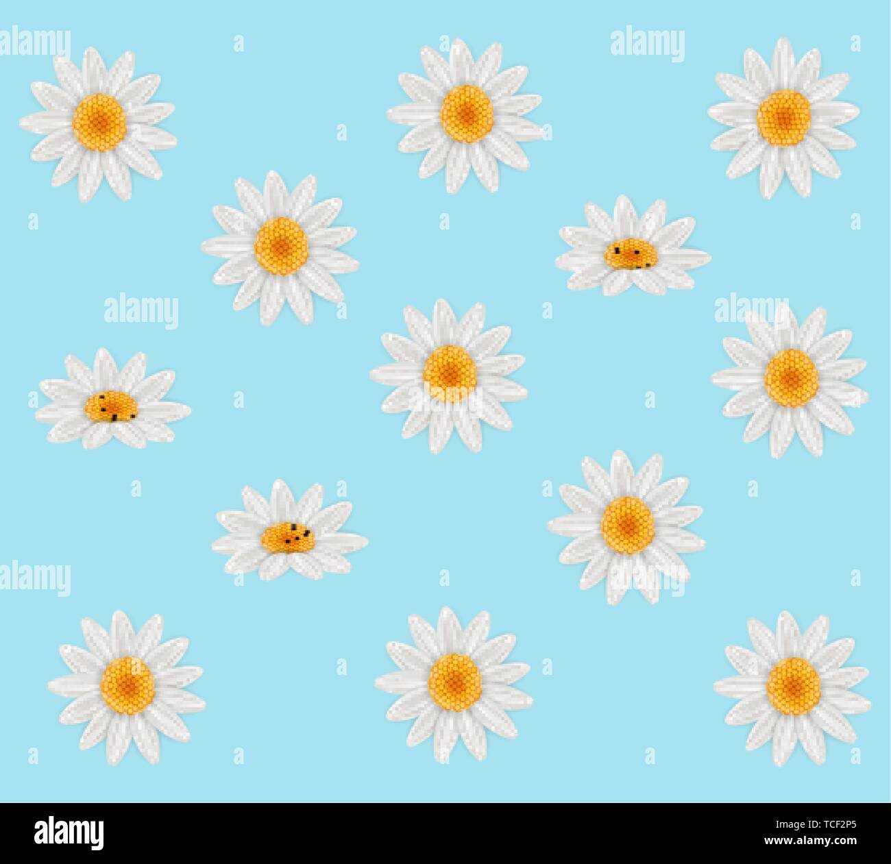 Chamomile Vector. Summer frame background card illustration Stock ...