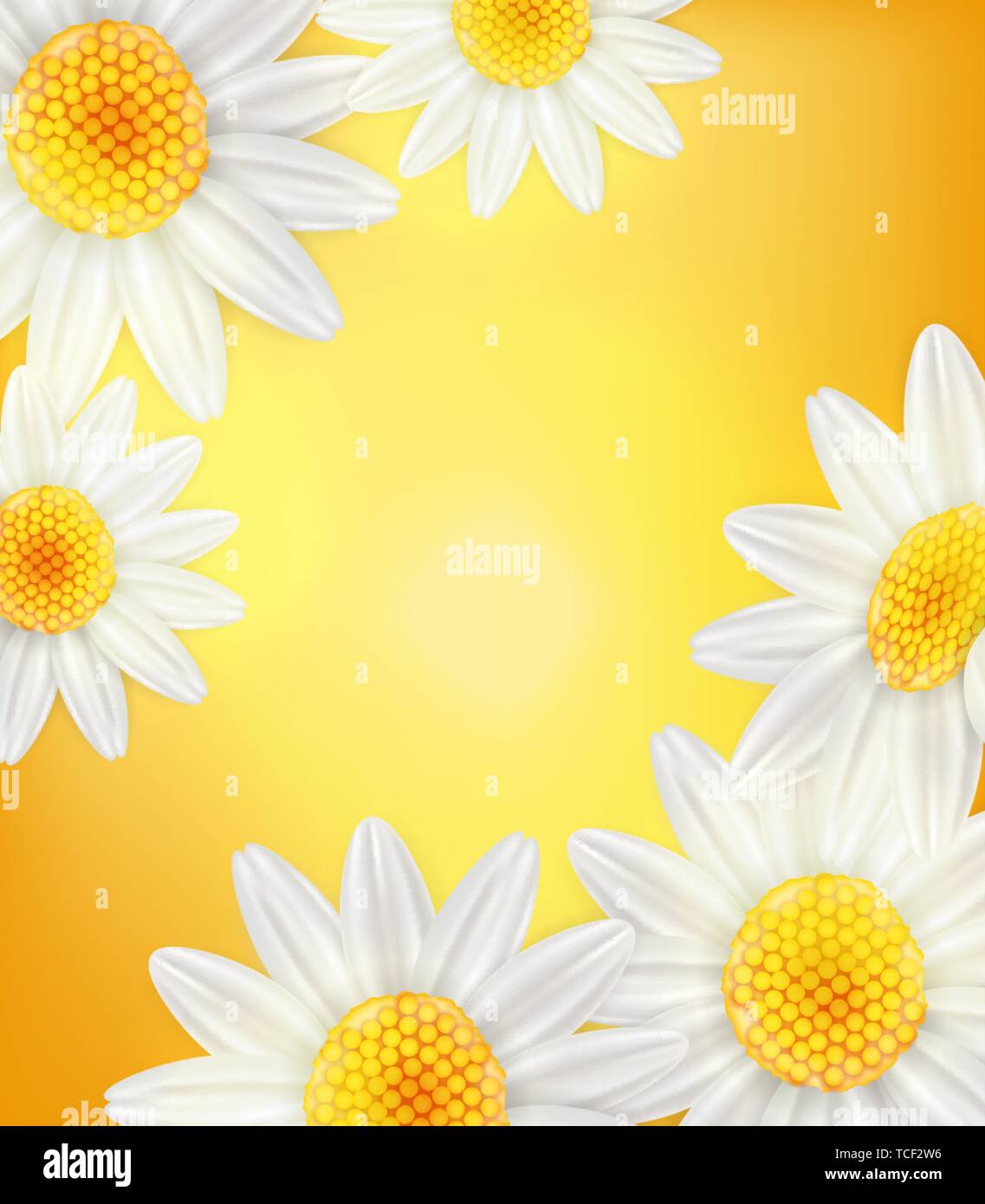 Chamomile wreath Vector. Summer frame background card illustration ...
