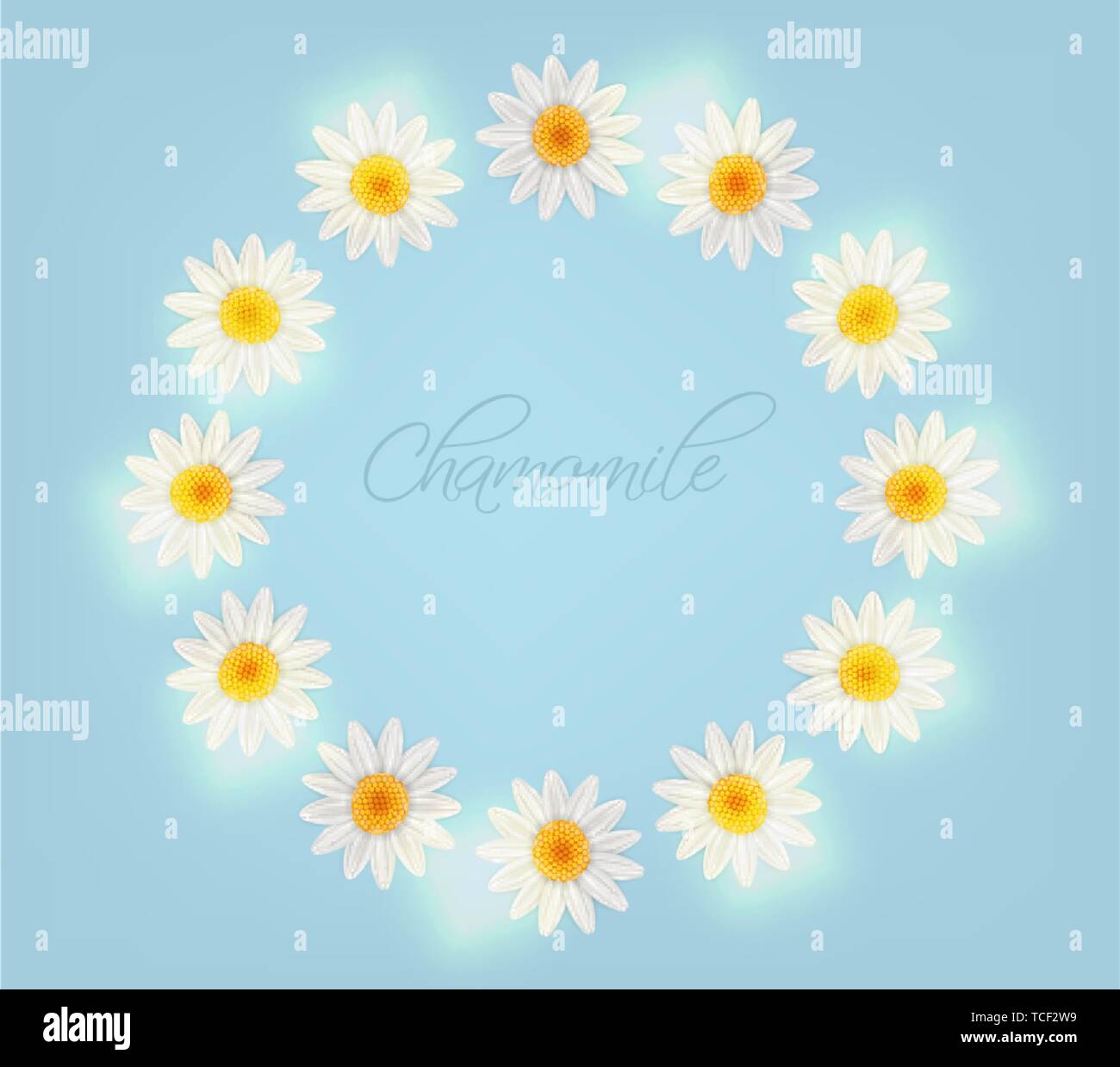 Chamomile wreath Vector. Summer frame background card illustration ...