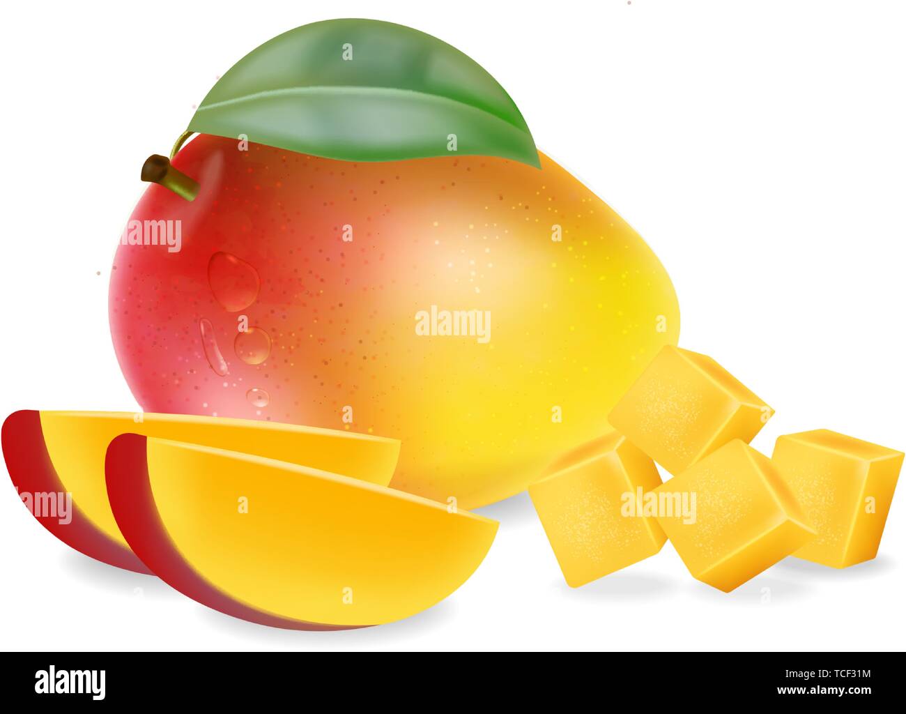 Mango fruit and slices isolated Vector realistic. Detailed elements ...