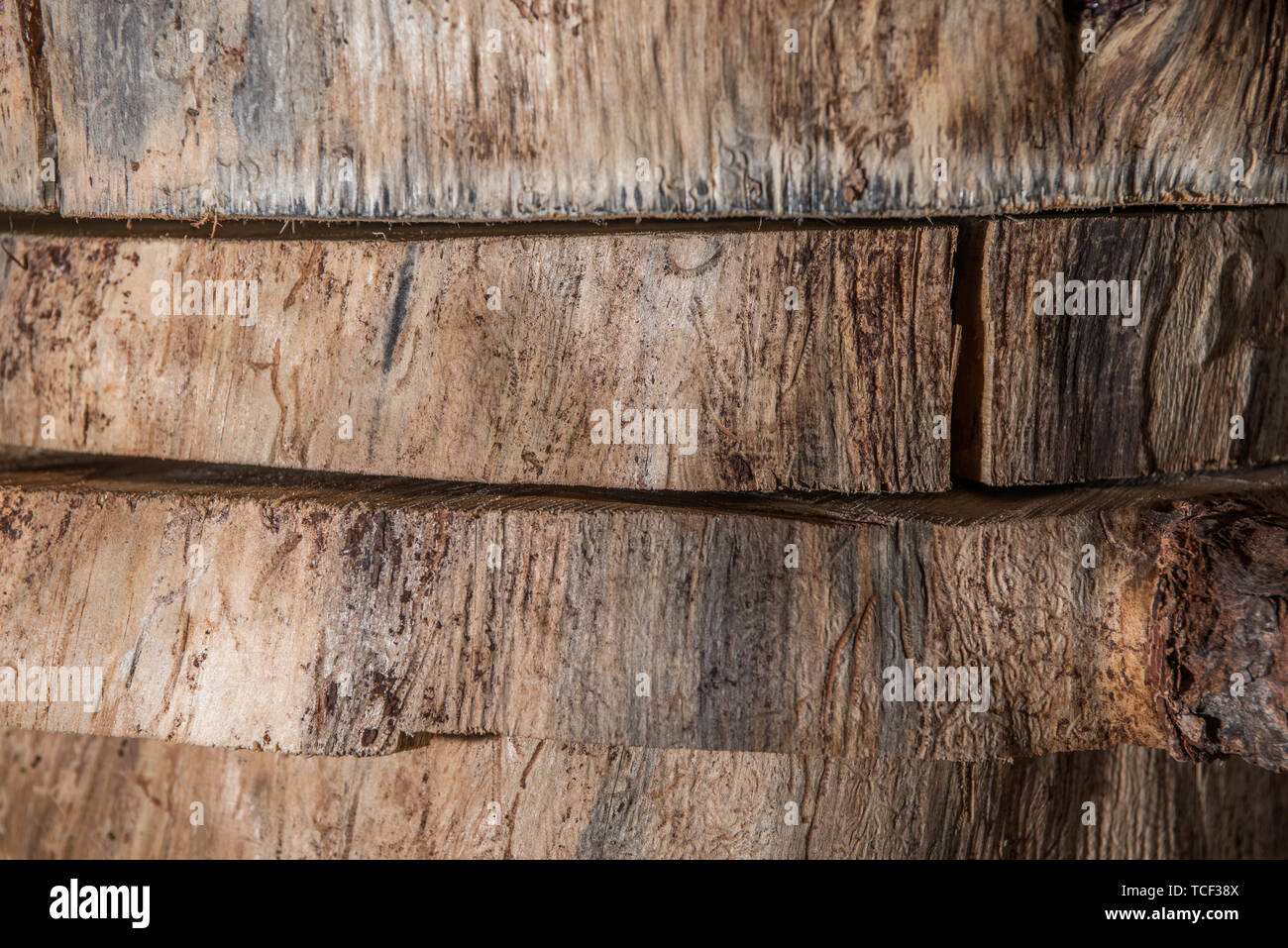 Background of textured rough surface of wood logs in saw cut Stock ...