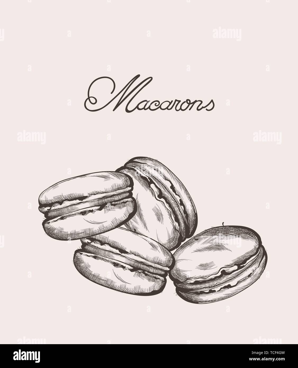 Macaroons line art Vector. Delicious sweets illustration Stock Vector ...