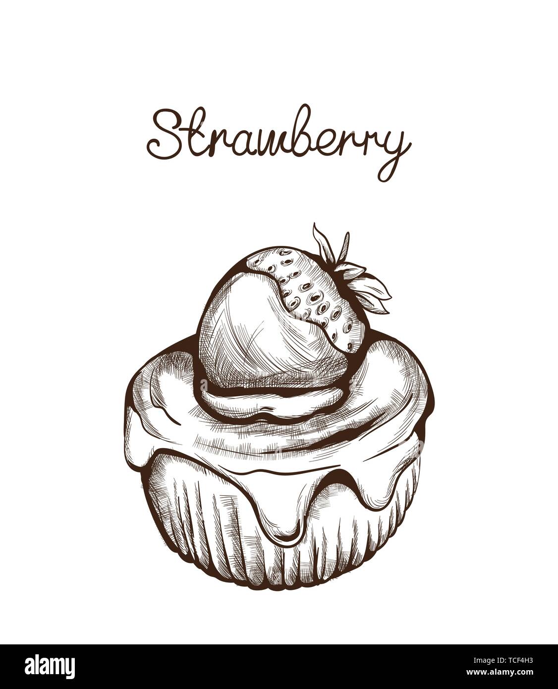 Cupcake line art Vector. Delicious dessert illustration isolated on white Stock Vector Image ...