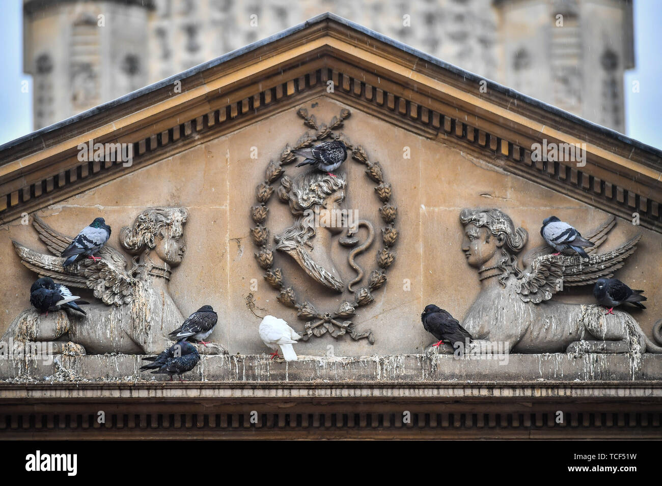 Pigeons rest in a stone freeze on the Roman baths under cover of rain ...